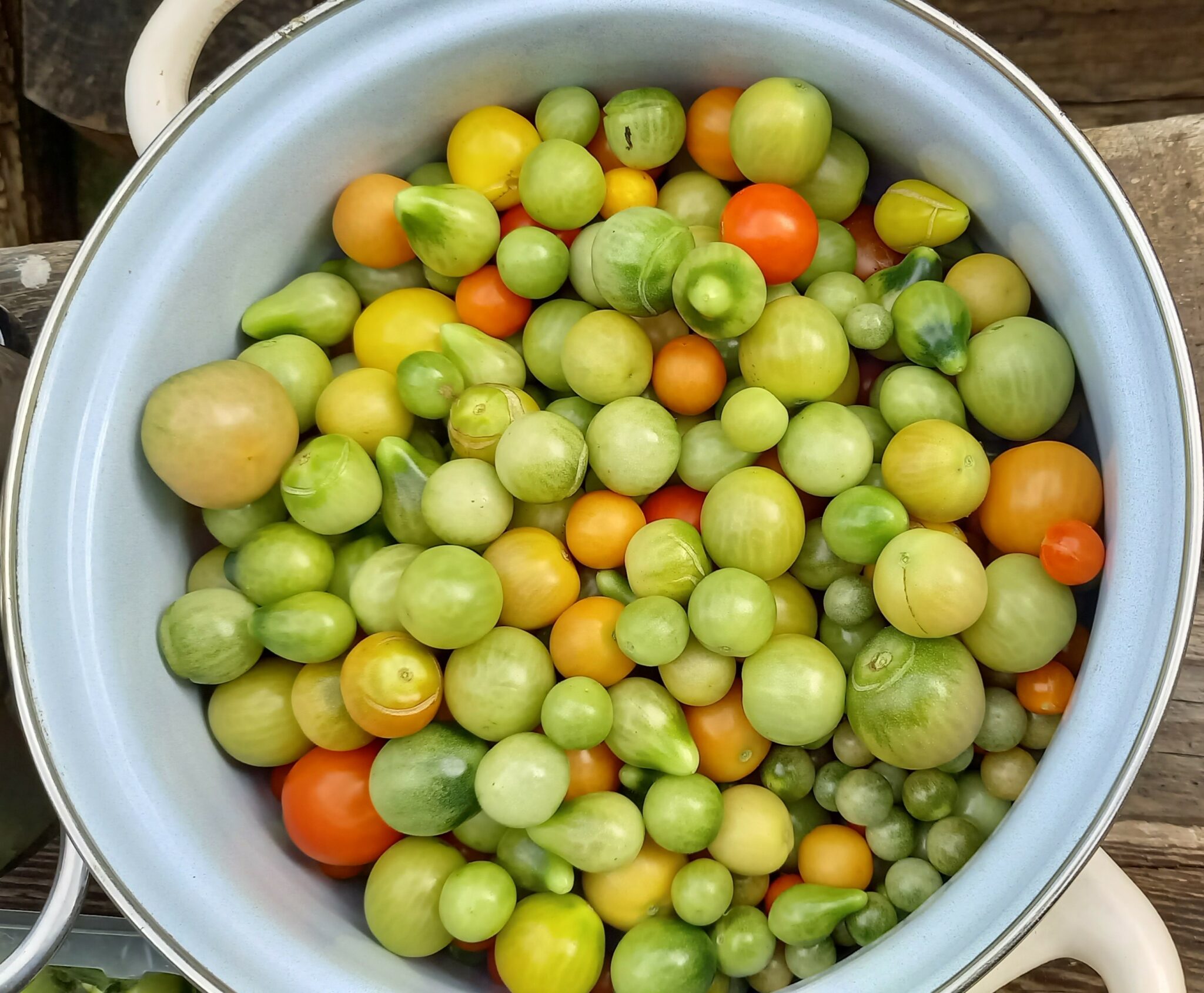 Čatní ze zelených rajčat - Permakultura (CS)