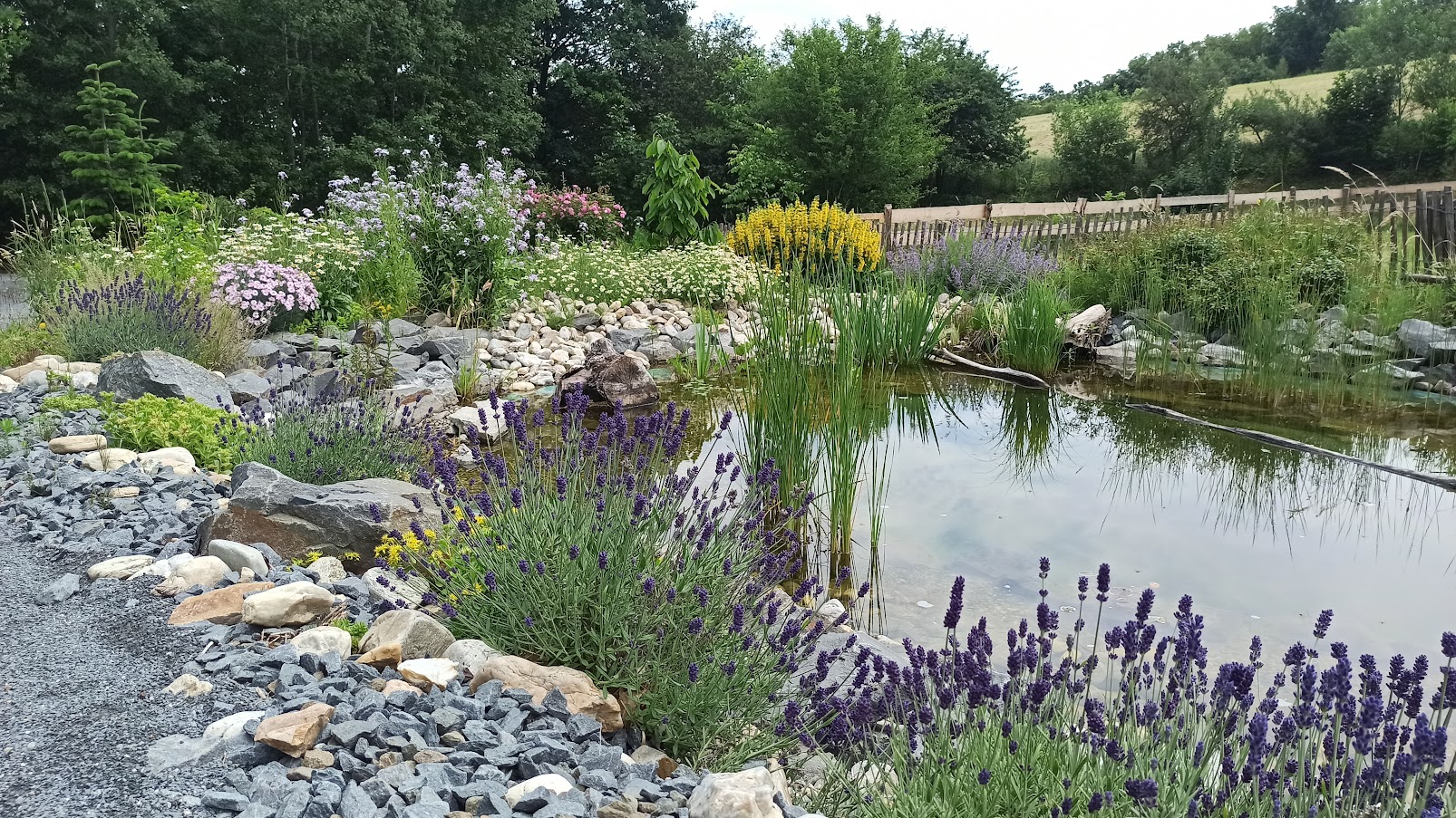 Louka pod Dubem - Permakultura (CS)